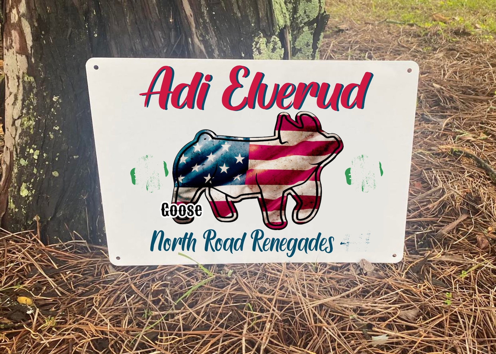 Custom Show Signs, Show Pig Sign, Show Cow Sign, Livestock Show Stall ...