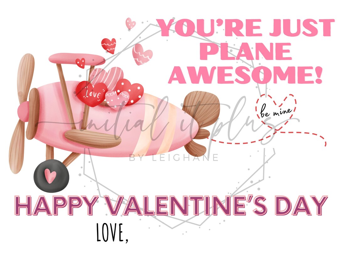 Happy Valentines Day, Valentines Day Plane, Pink Plane - Etsy