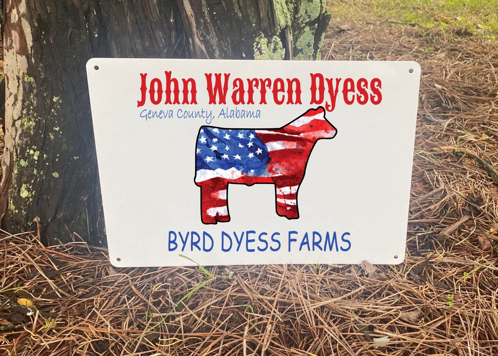 Custom Show Signs, Show Pig Sign, Show Cow Sign, Livestock Show Stall ...