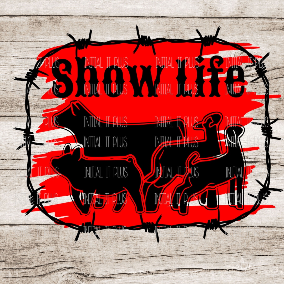 Show Life PNG, Stock Show Cow, Show Pig PNG, Western Show Goat, Show ...