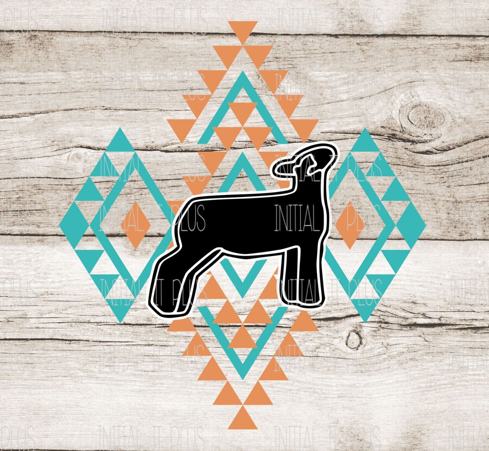Show Lamb Digital File, Stock Show Lamb, Show Sheep PNG, Show Life Pig ...