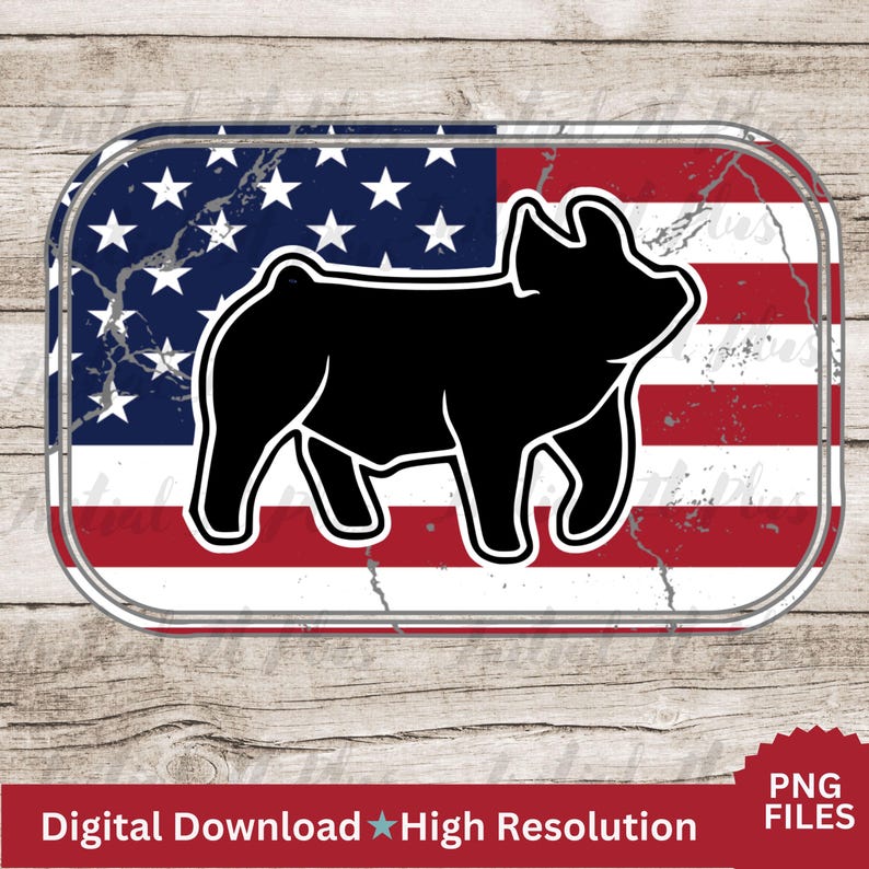 American Flag Show Pig Digital File, Stock Show Pig, Show Pig PNG, Show ...