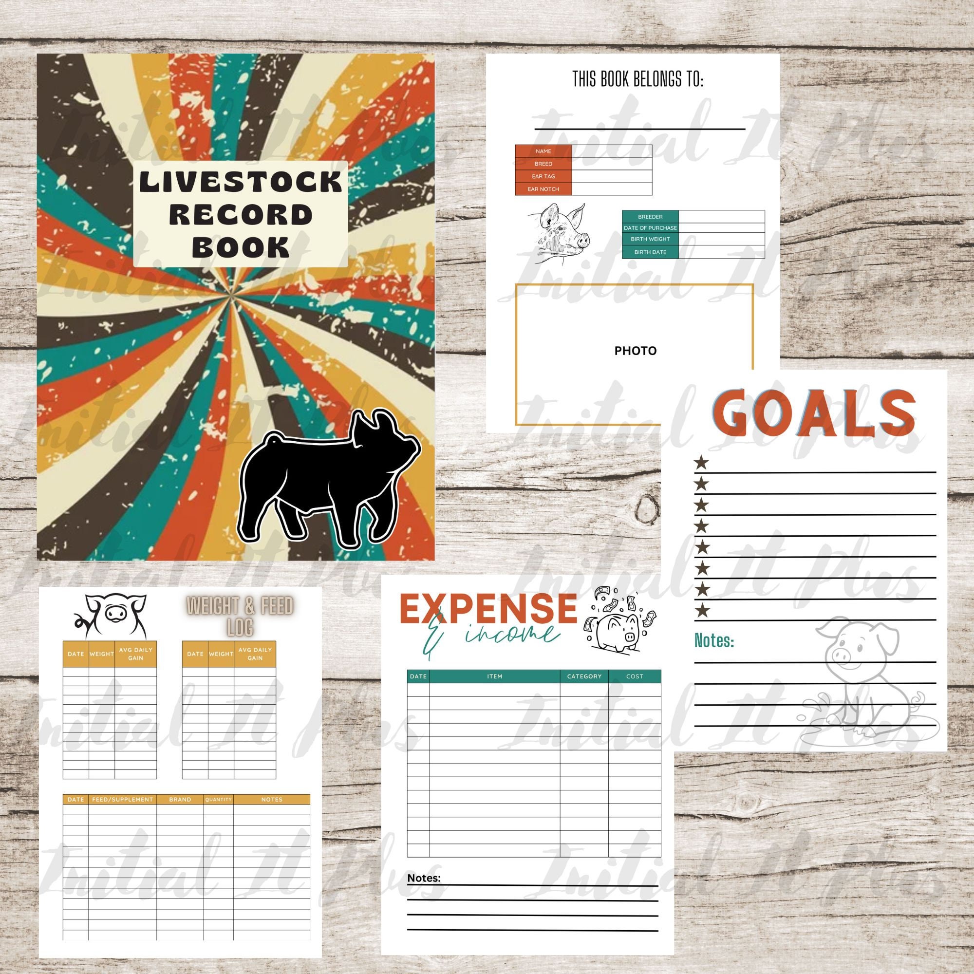 PRINTABLE Stock Show Record Book, Show Pig, Livestock Show, Pig Youth ...
