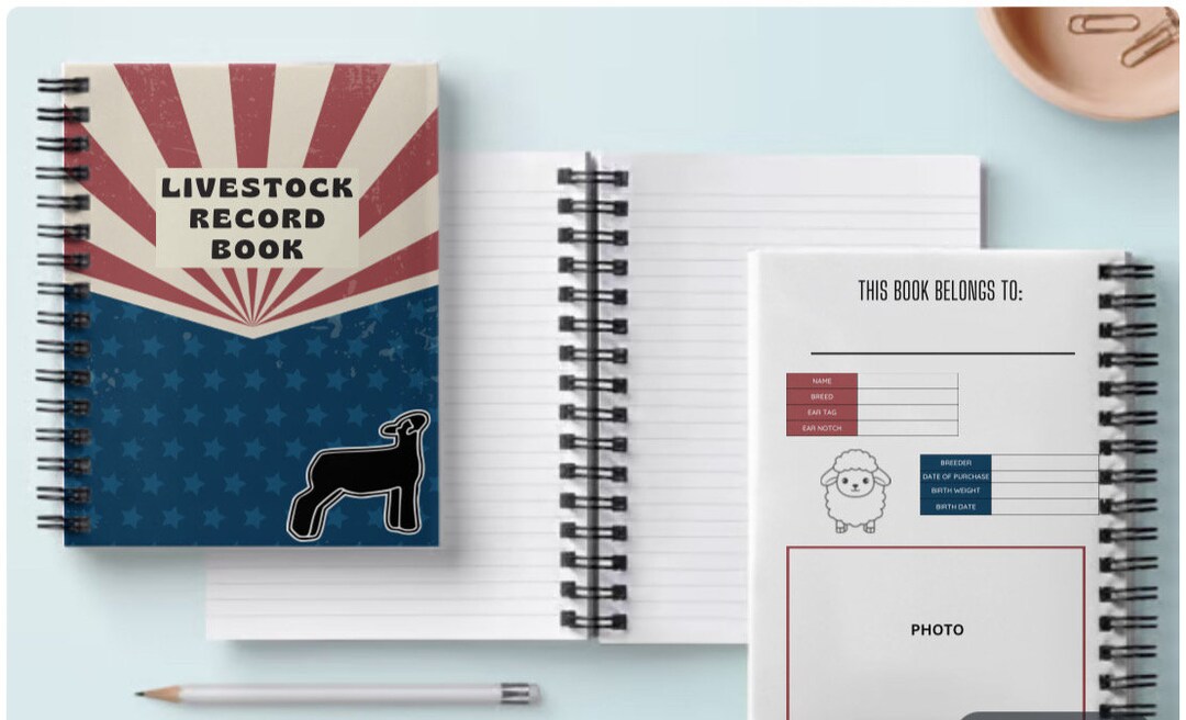 PRINTABLE Stock Show Record Book, Show Sheep, Livestock Show, Sheep ...