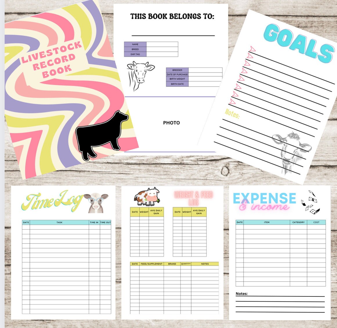 PRINTABLE Stock Show Record Book, Show Cow, Livestock Show, Cow Youth ...