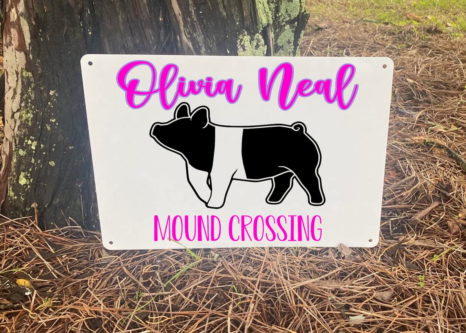 Custom Show Signs, Show Pig Sign, Show Cow Sign, Livestock Show Stall ...