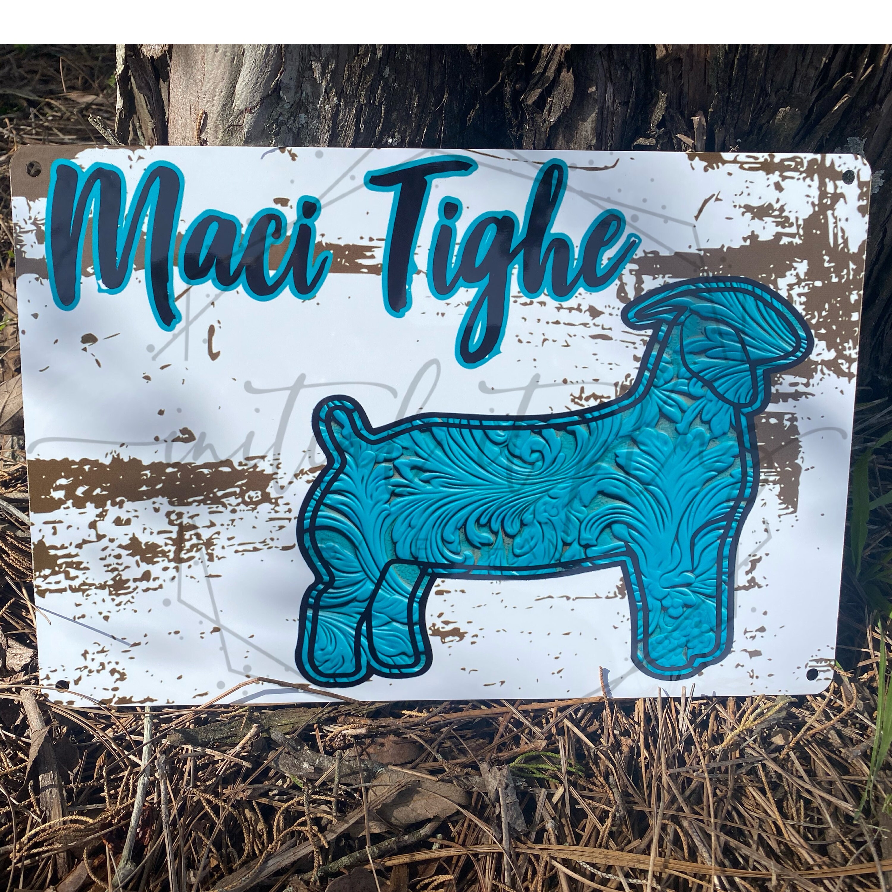 Custom Show Signs, Show Pig Sign, Show Cow Sign, Livestock Show Stall ...