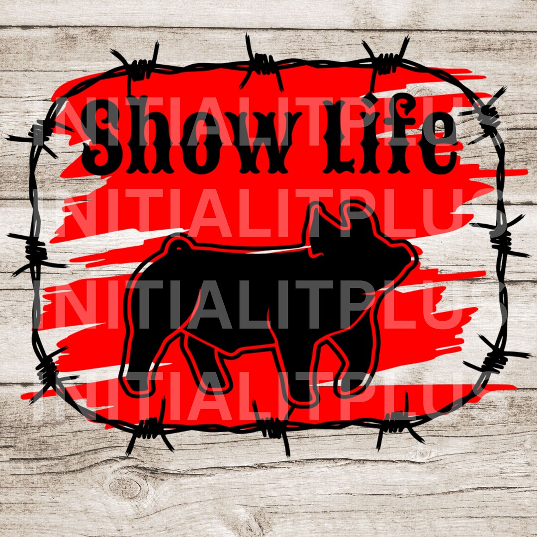 Show Life Pig PNG, Stock Show Pig, Show Pig PNG, Western Show Pig, Show ...