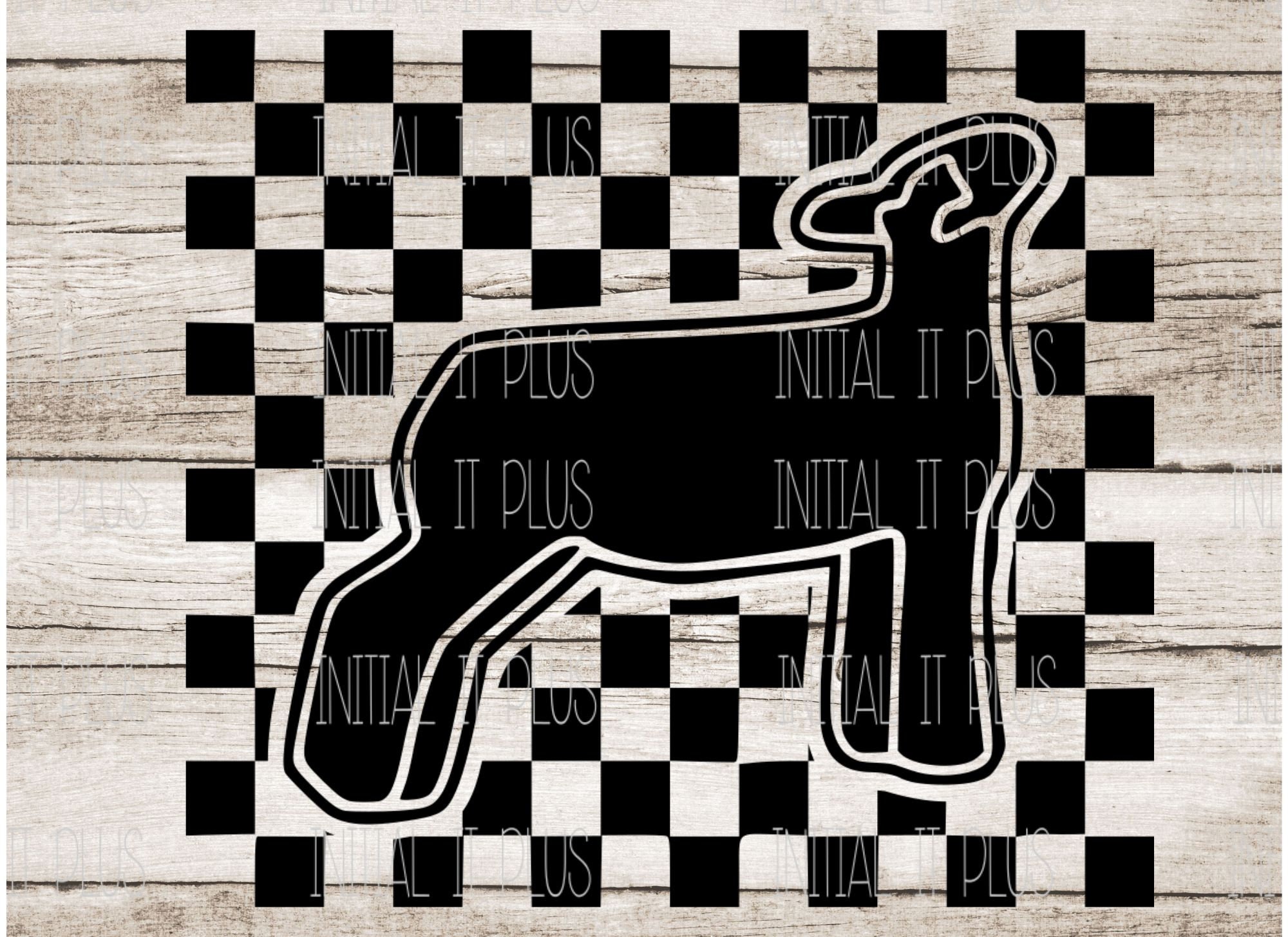 Checker Show Lamb Digital File, Stock Show Pig, Show Cow PNG, Show Life ...