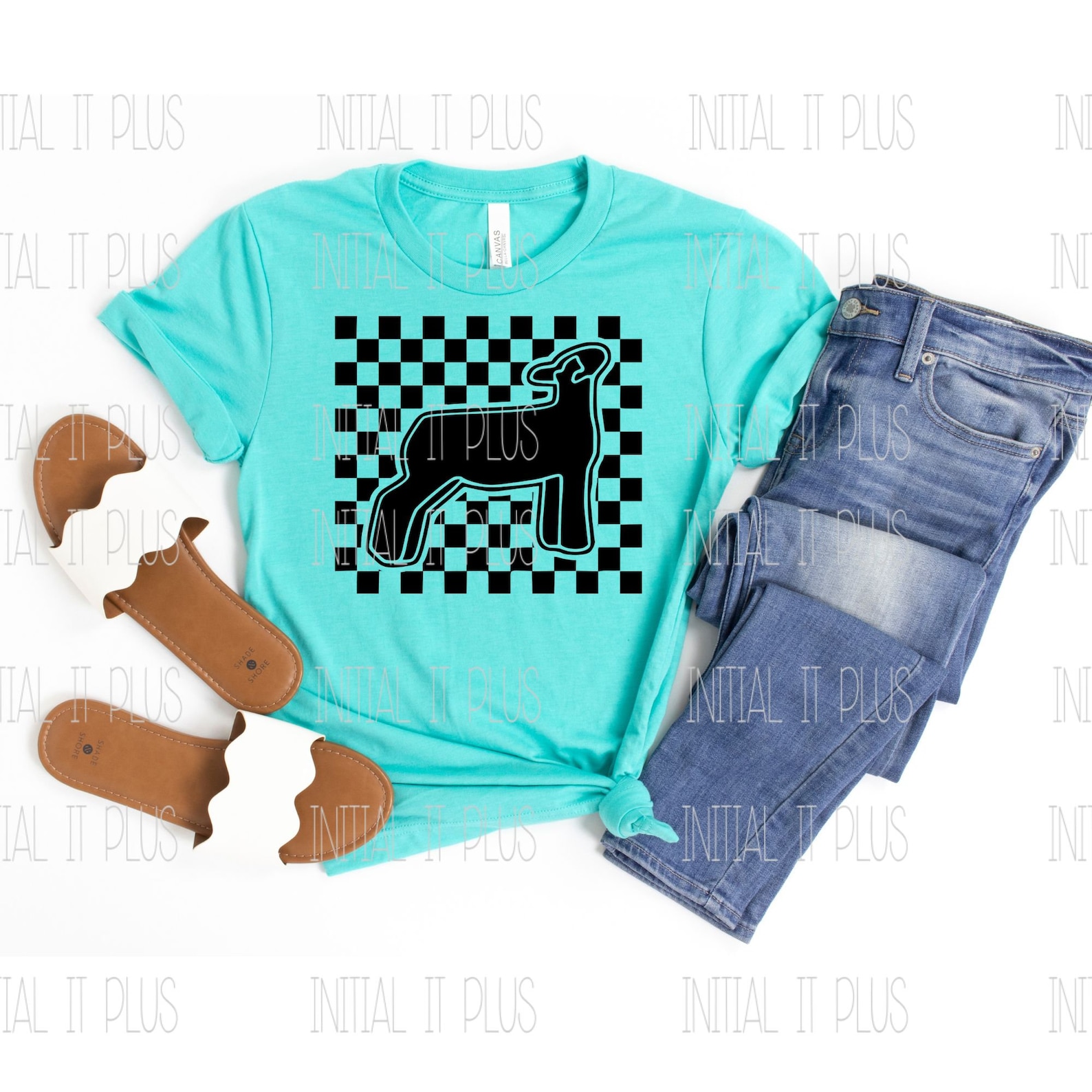 Checker Show Lamb Digital File, Stock Show Pig, Show Cow PNG, Show Life ...