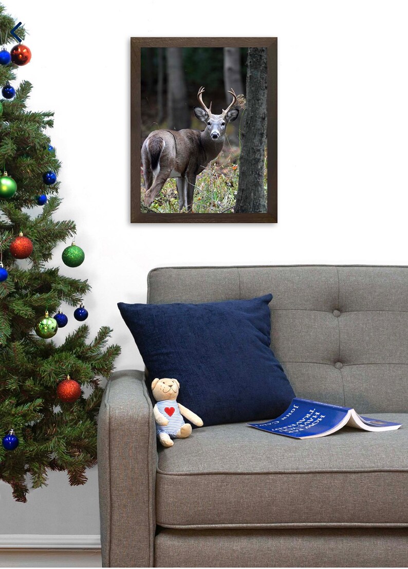 Digital Download Photo of a White Tailed Deer Buck - Etsy