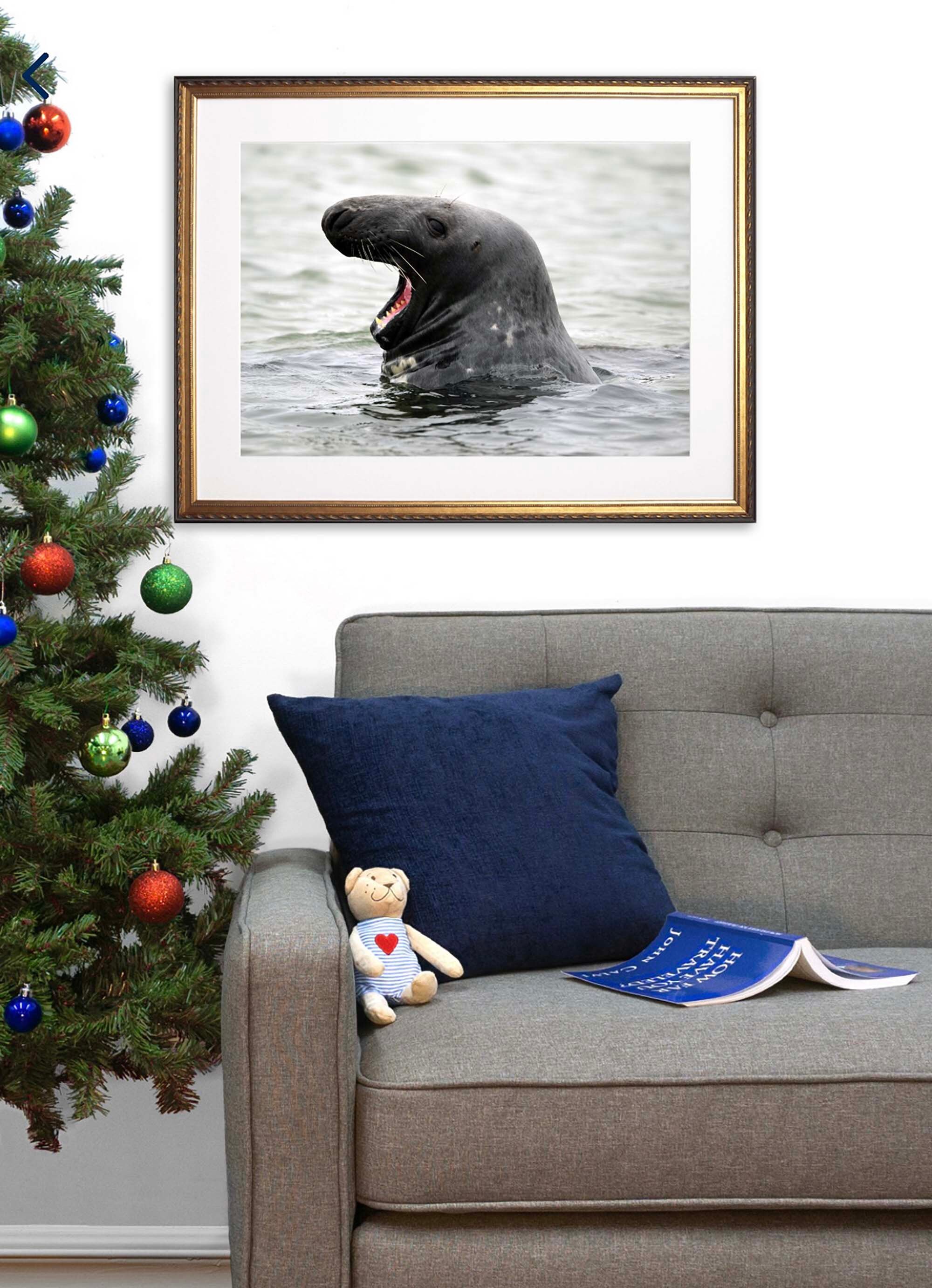 Digital Download Seal Photo - Etsy