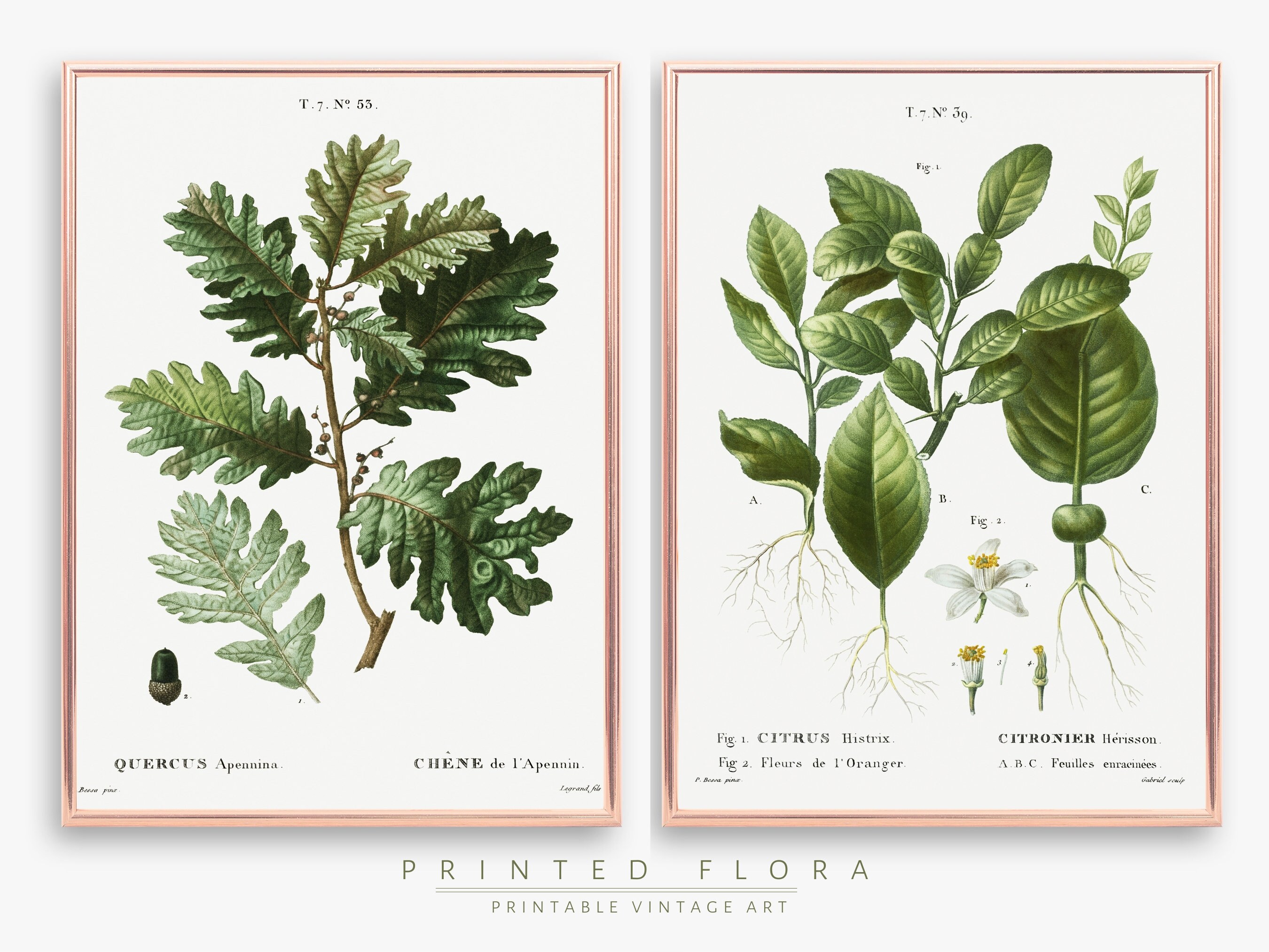 Vintage Greenery Painting Wall Art Set | Gallery Art Print | DIGITAL ...