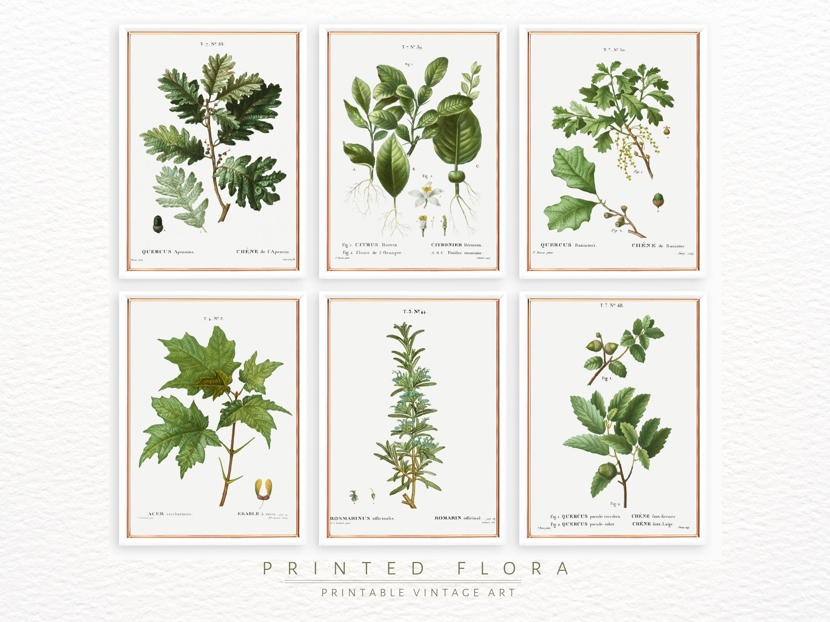 Vintage Greenery Painting Wall Art Set | Gallery Art Print | DIGITAL ...
