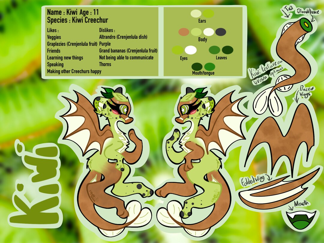 Character Reference Sheet - Etsy