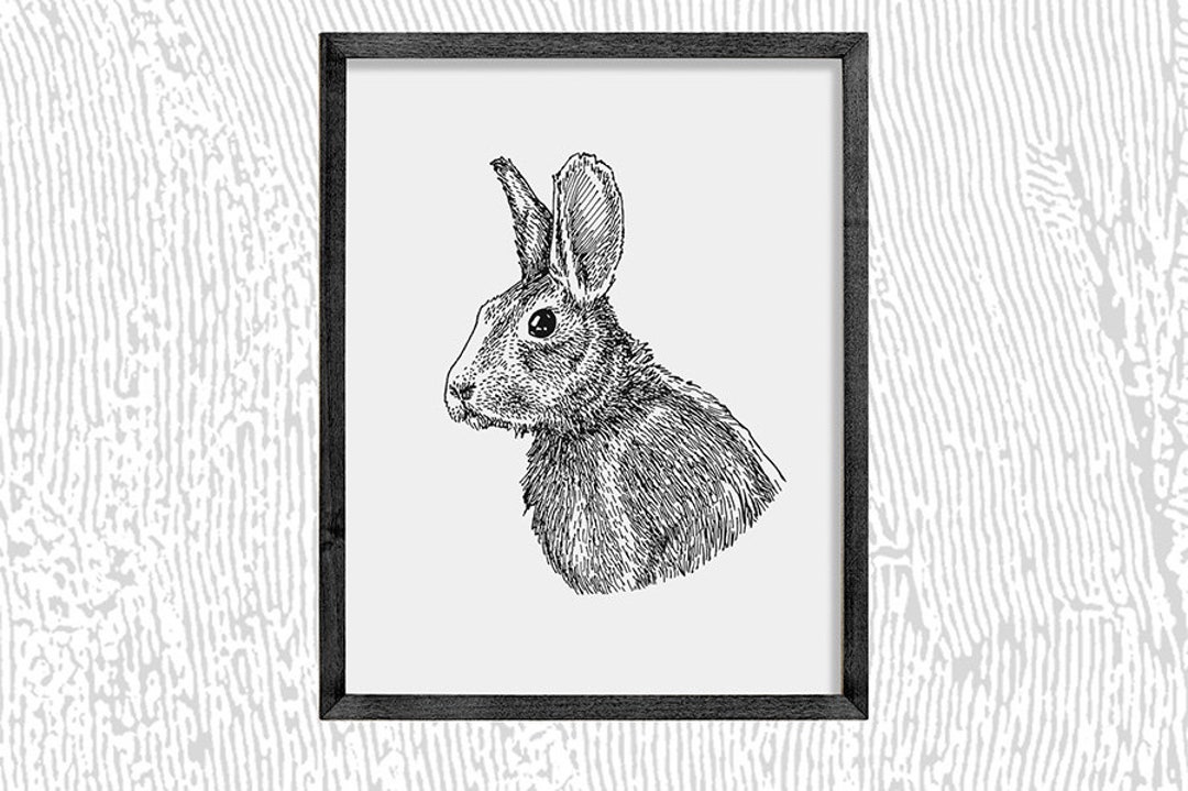 Rabbit Pen and Ink Print Nature Art Black and White Vintage Wildlife ...
