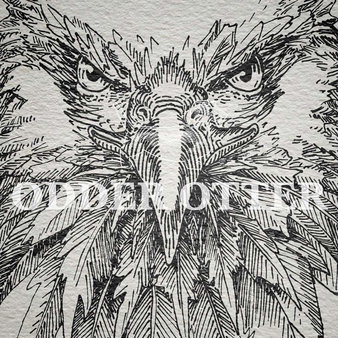Bald Eagle | Pen and Ink Print | Nature Art | Black and White Vintage ...