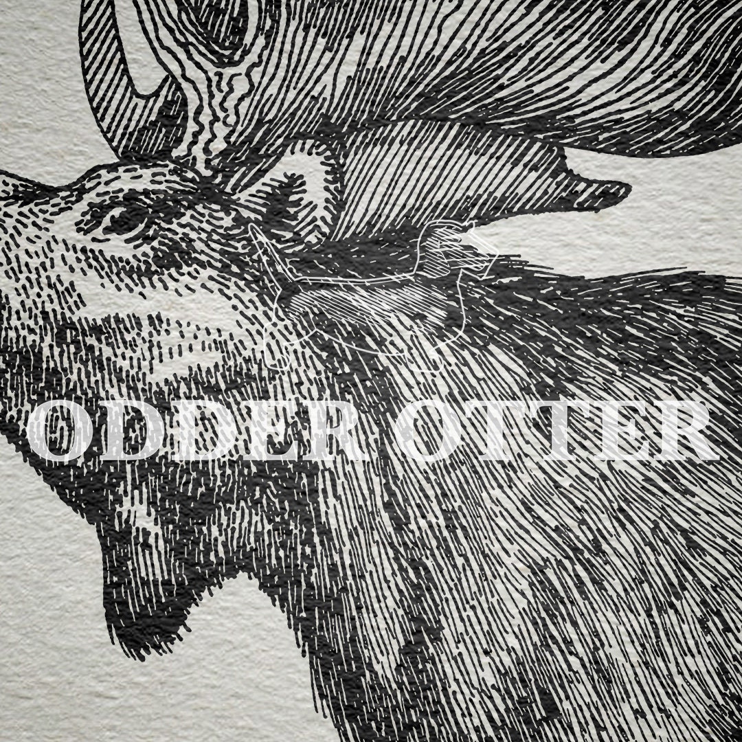 Moose | Pen and Ink Print | Nature Art | Black and White Vintage ...