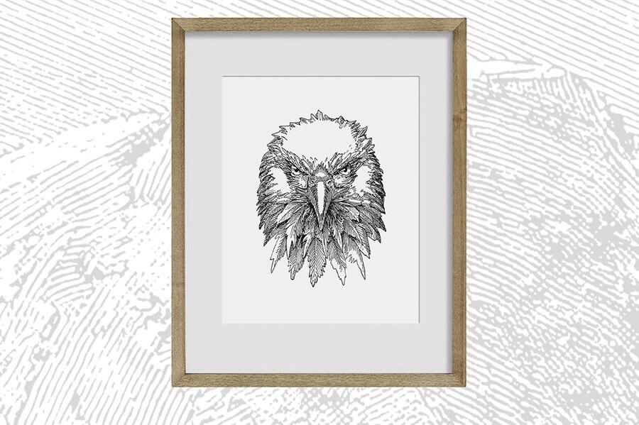 Bald Eagle | Pen and Ink Print | Nature Art | Black and White Vintage ...