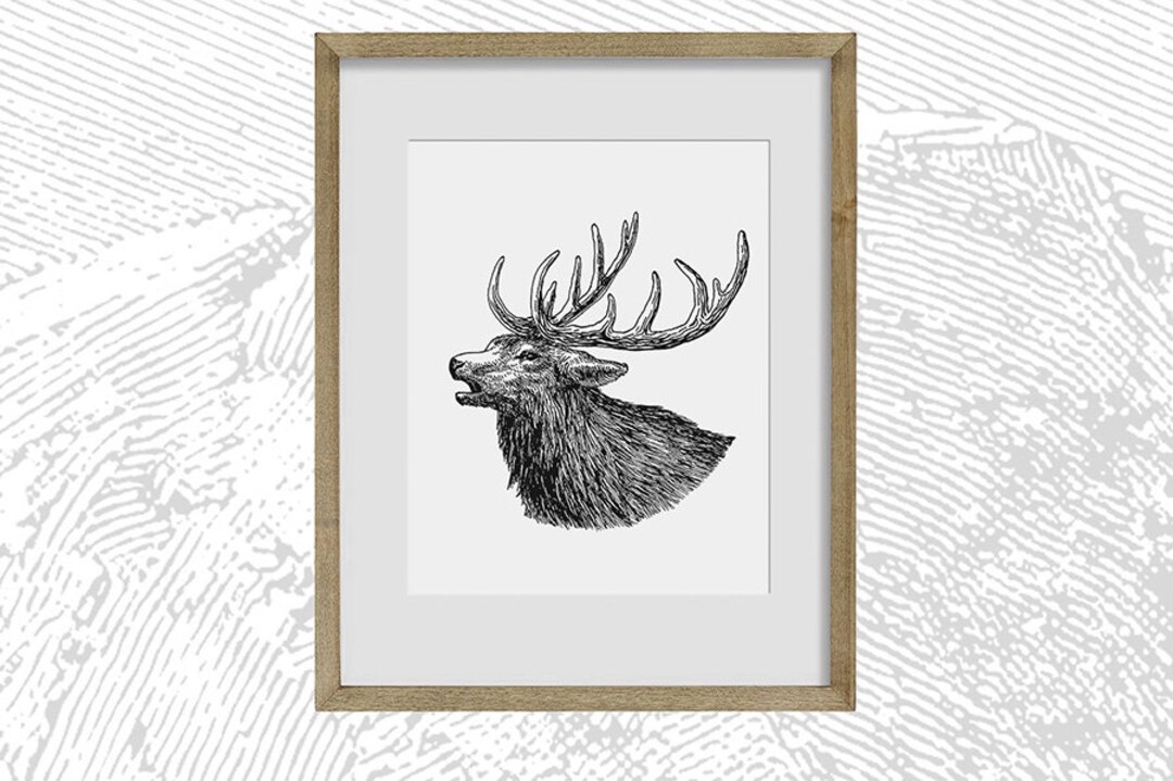 Elk Pen and Ink Print Nature Art Black and White Vintage Wildlife Wall ...