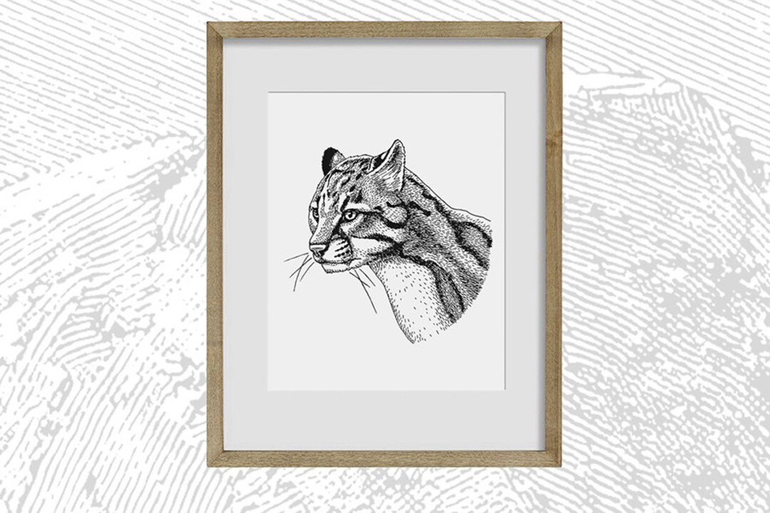 Ocelot Pen and Ink Print Nature Art Black and White Vintage Wildlife ...