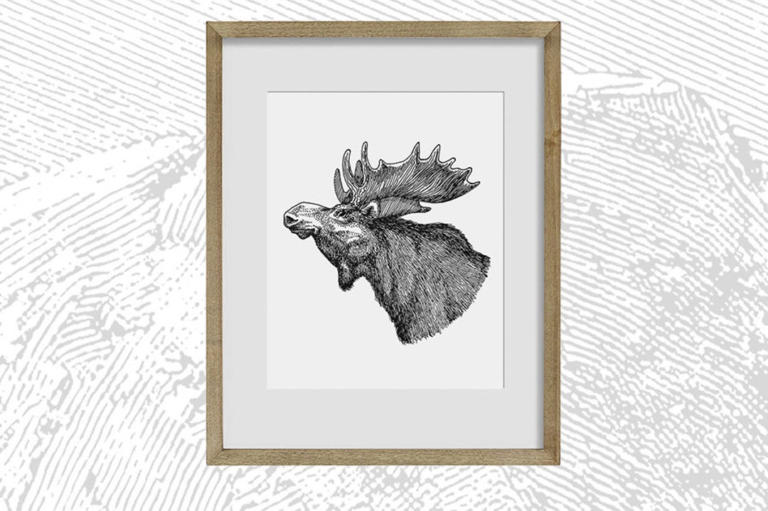 Moose | Pen and Ink Print | Nature Art | Black and White Vintage ...
