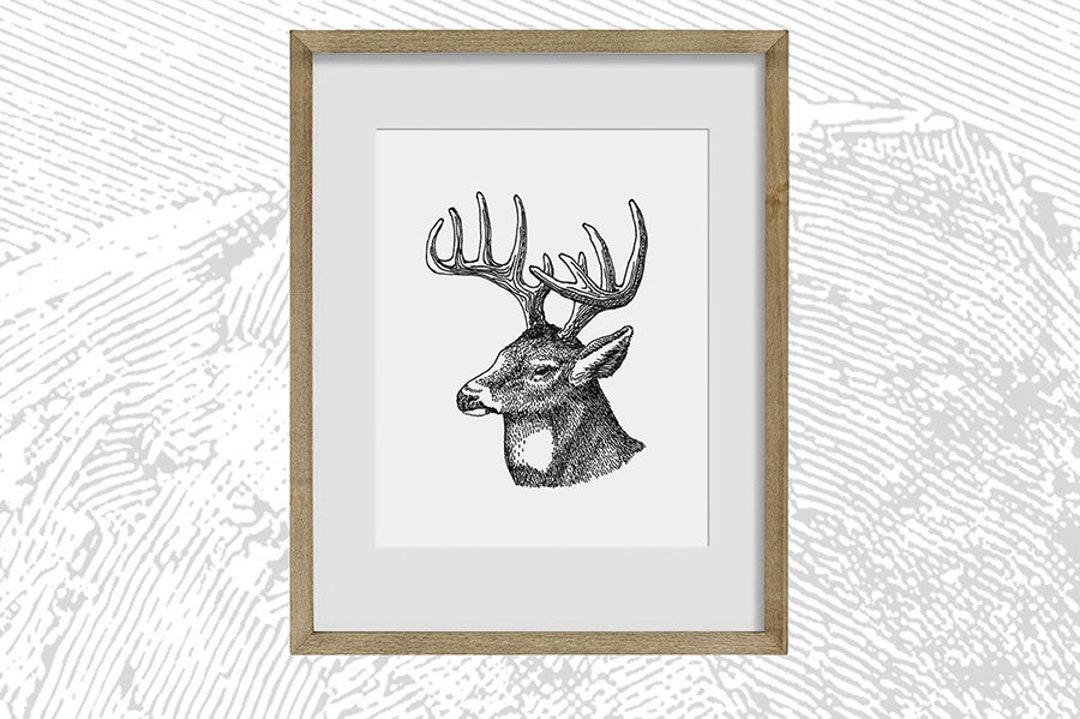 Deer | Pen and Ink Print | Nature Art | Black and White Vintage ...