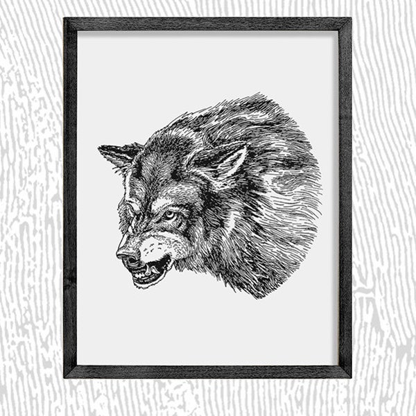 Pen and Ink Wolf - Etsy