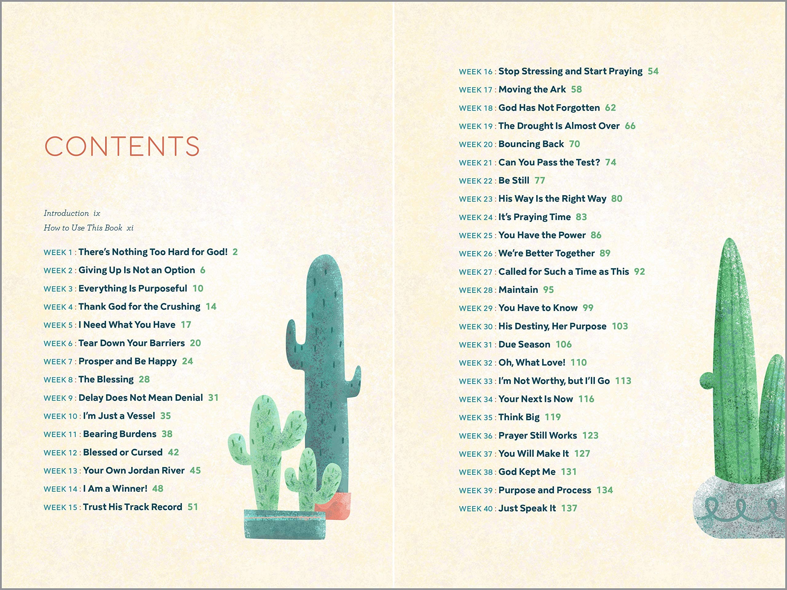 The Bible in 52 Weeks: A Yearlong Bible Study for Women - Etsy