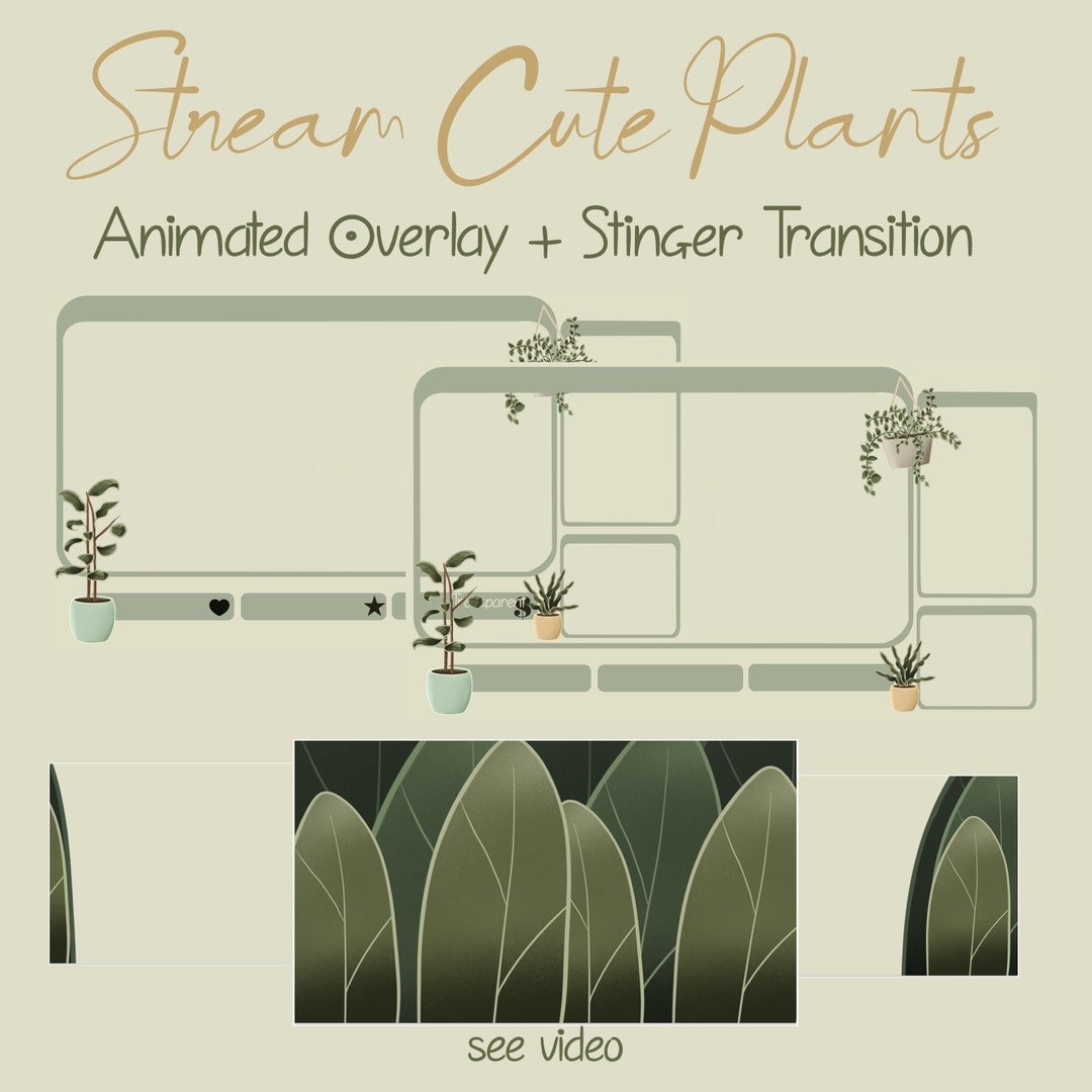 Cute Plants Animated Overlay + Stinger Transition - Etsy