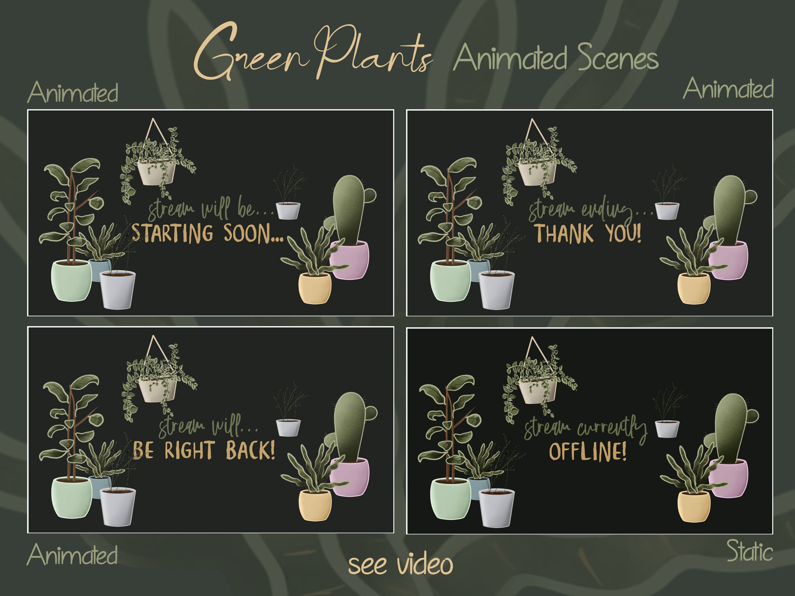 Cute Green Plants Stream Pack for Twitch Complete Streaming - Etsy