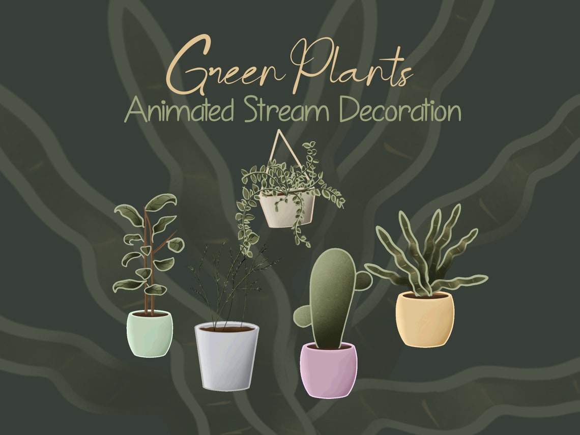 Cute Green Plants Stream Pack for Twitch Complete Streaming - Etsy
