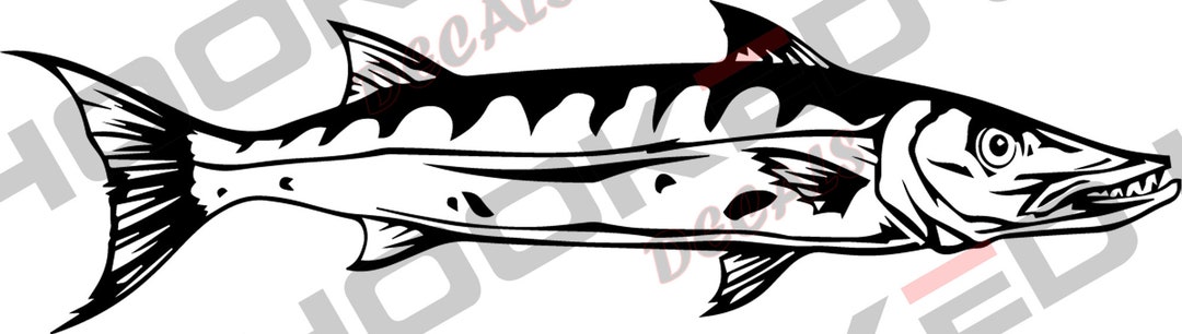 Barracuda Fish Vinyl Transfer Decal - Etsy