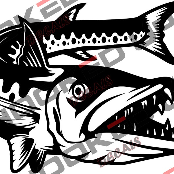 Barracuda Decal - Etsy