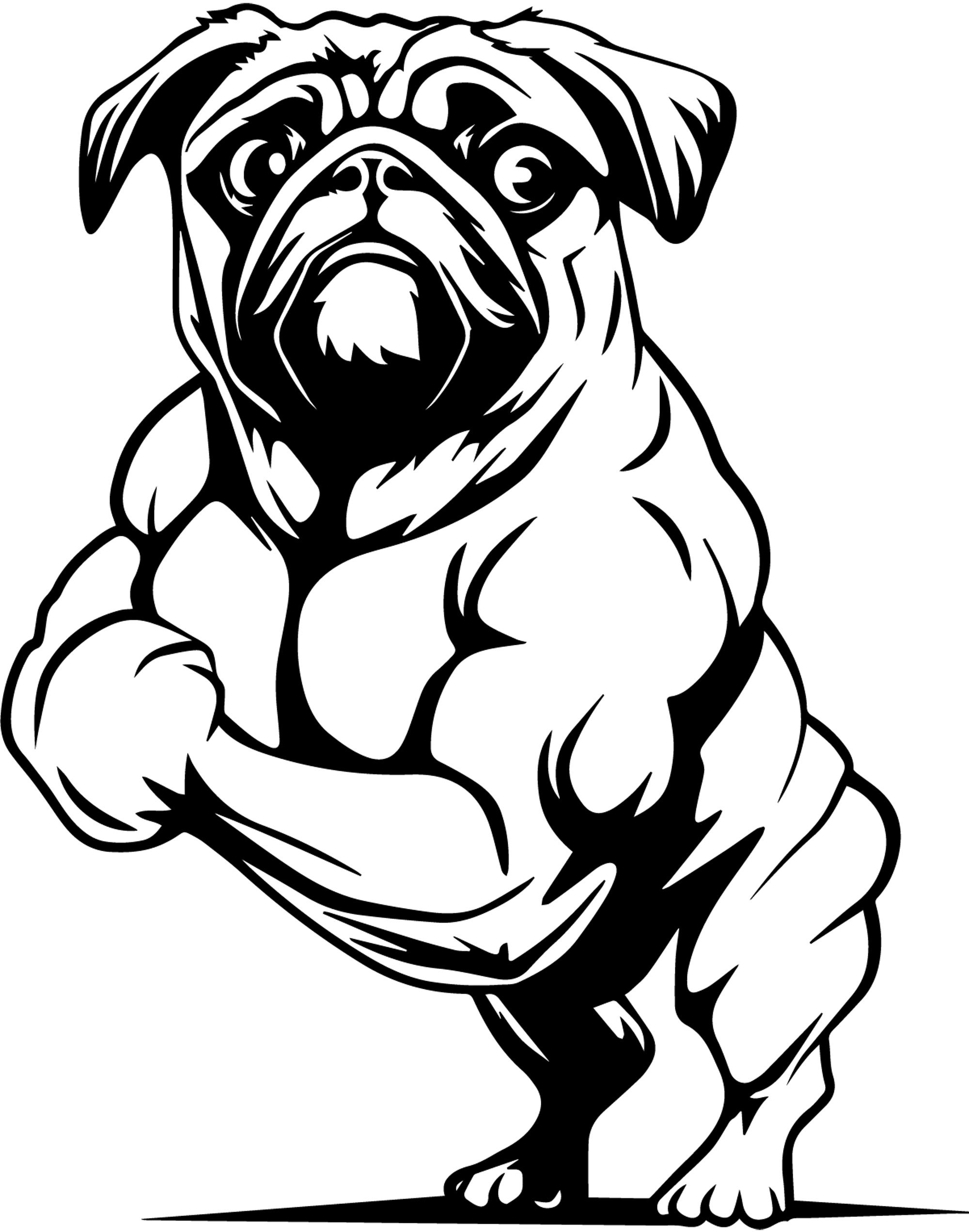 Muscle Pug Vinyl Transfer Decal - Etsy