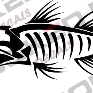 Barracuda Skeleton Vinyl Transfer Decal - Etsy