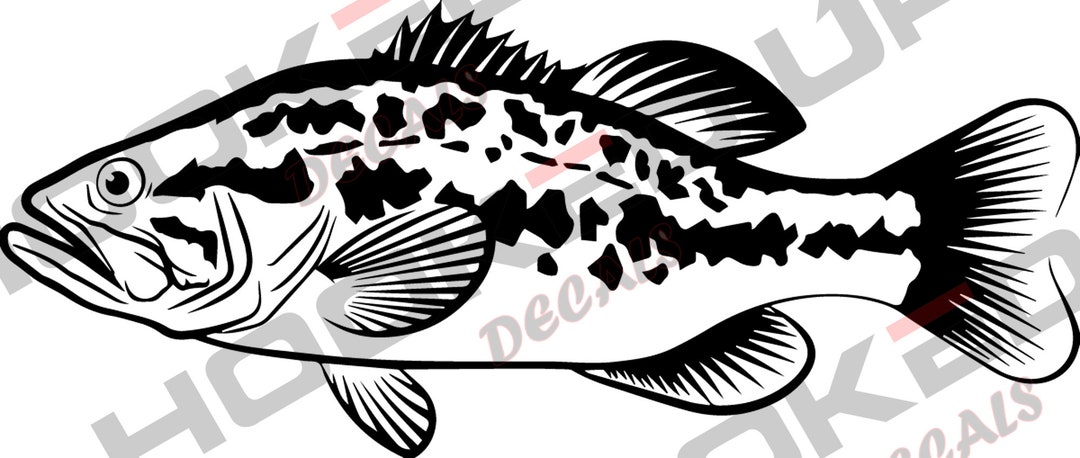 Bass Fish Line Drawing Style Vinyl Transfer Decal - Etsy
