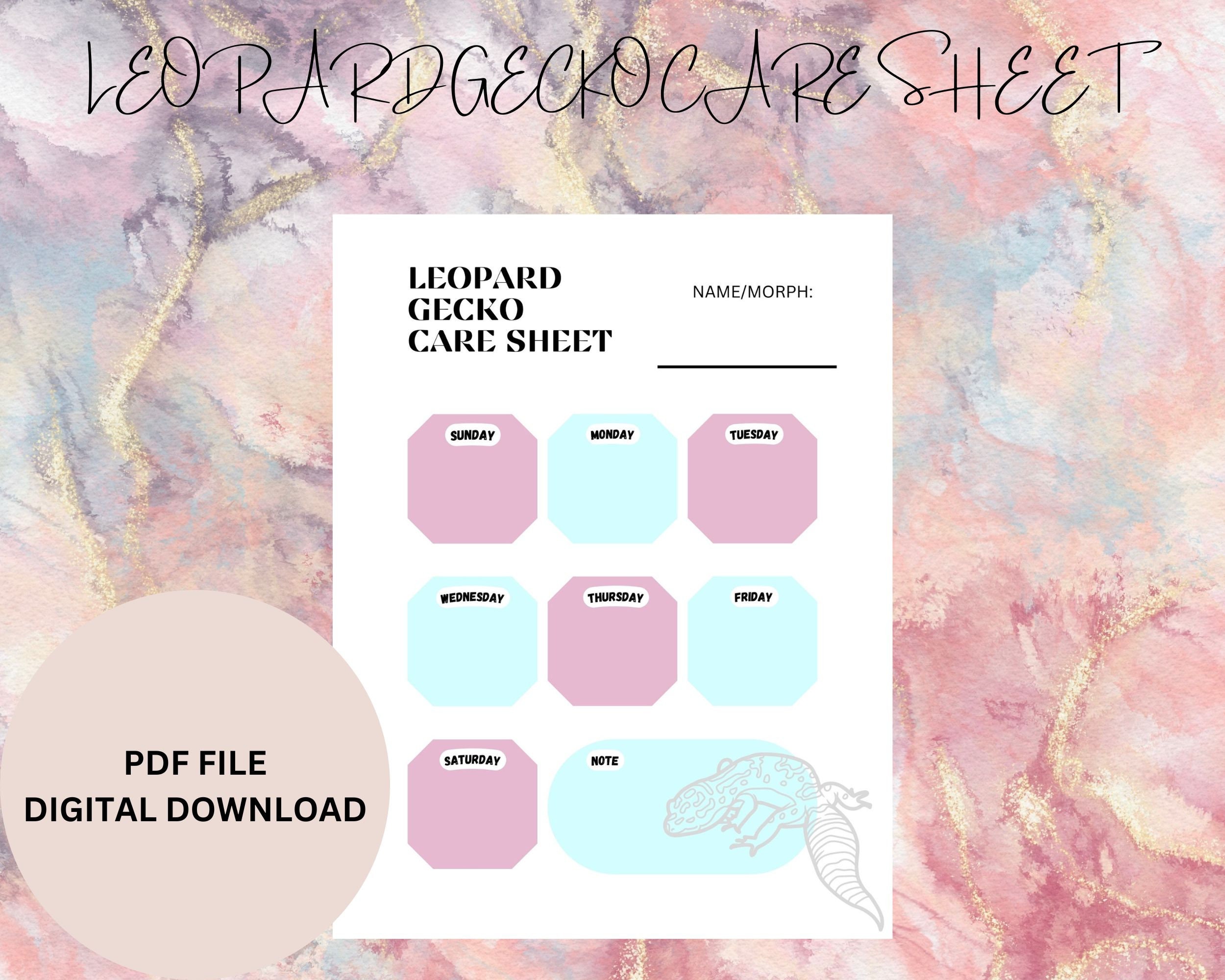 Leopard Gecko Care Sheet Pdf File Instant Download Care - Etsy