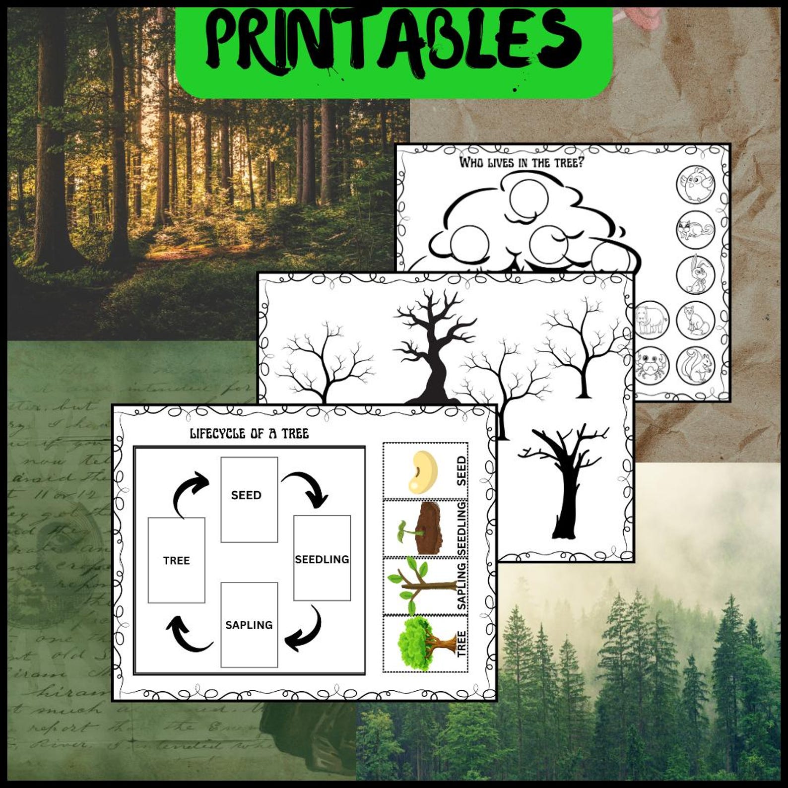 FOREST- Preschool Weekly Lesson Plan - Etsy