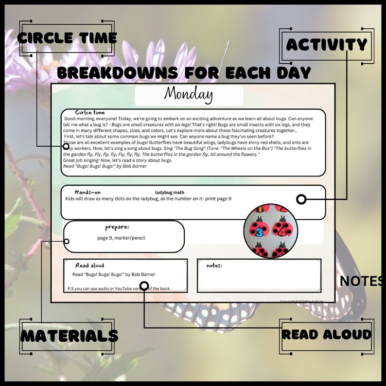 BUGS/ INSECTS Preschool Weekly Lesson Plan - Etsy