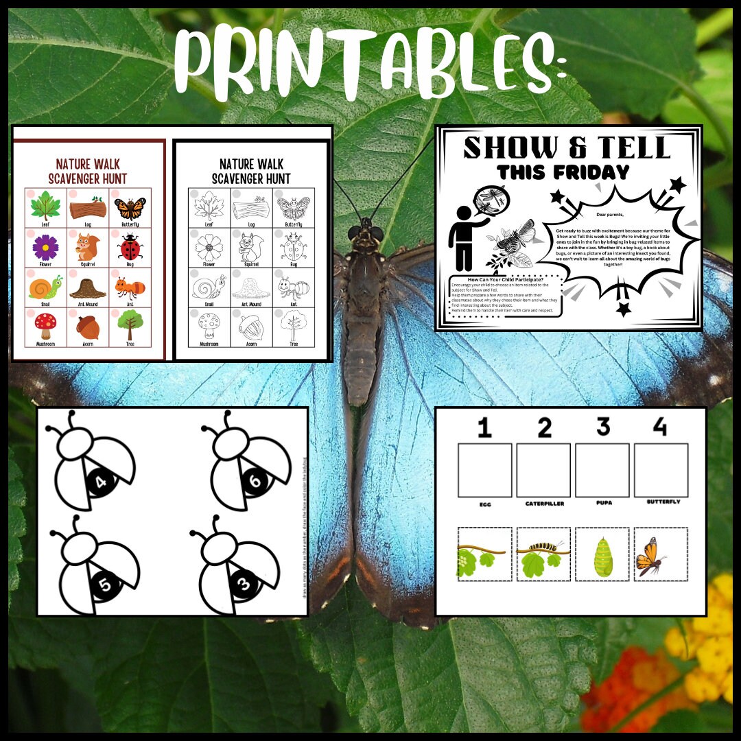 BUGS/ INSECTS Preschool Weekly Lesson Plan - Etsy