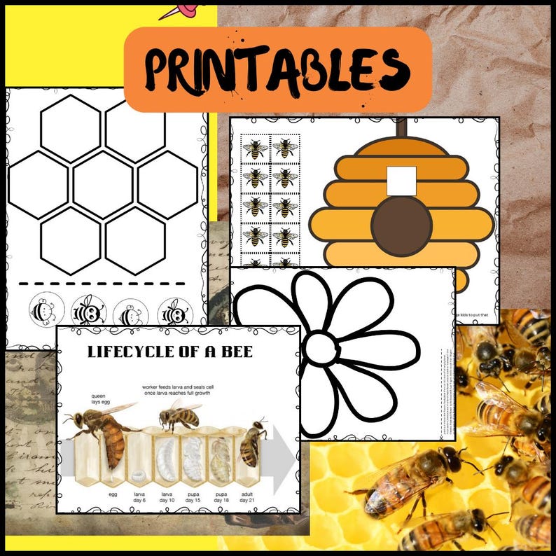 BEES- Preschool Weekly Lesson Plan - Etsy