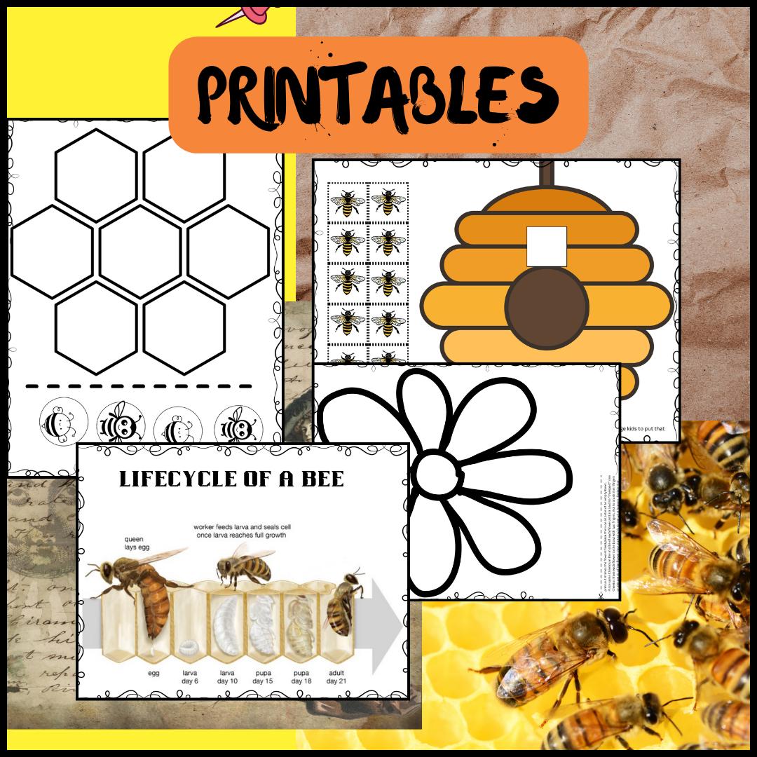 BEES- Preschool Weekly Lesson Plan - Etsy