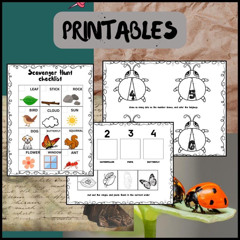BUGS/ INSECTS- Preschool Weekly Lesson Plan - Etsy