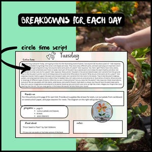 IN THE GARDEN- Preschool Weekly Lesson Plan - Etsy