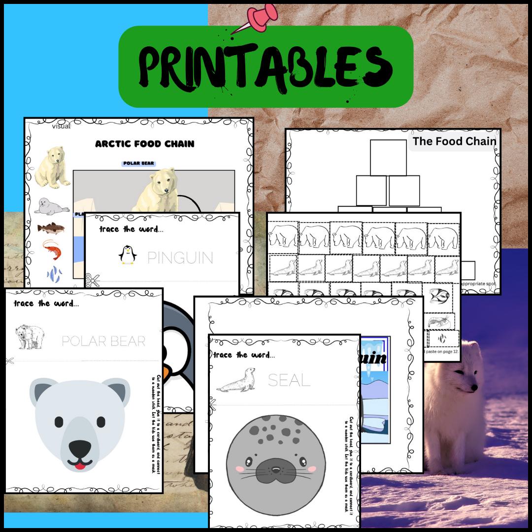 ARCTIC ANIMALS- Preschool Weekly Lesson Plan - Etsy