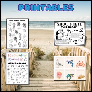 AT THE BEACH Preschool Weekly Lesson Plan - Etsy