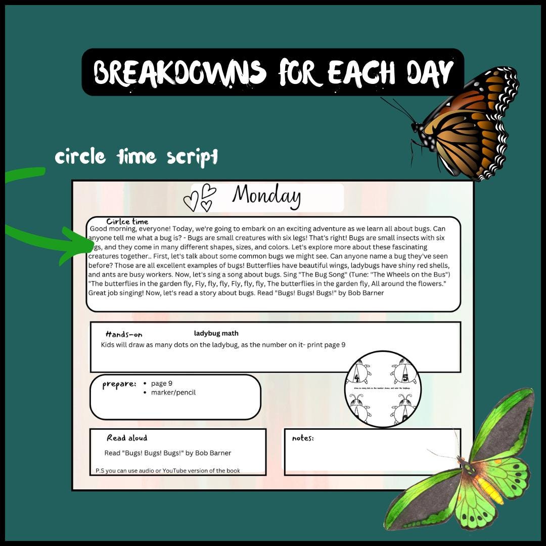 BUGS/ INSECTS- Preschool Weekly Lesson Plan - Etsy
