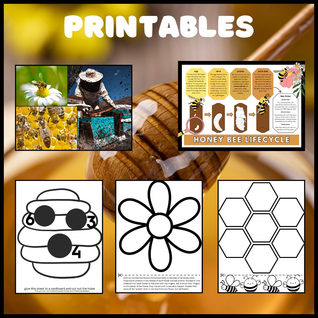 BEES Preschool Weekly Lesson Plan - Etsy