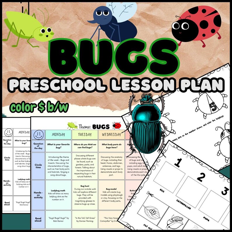 BUGS/ INSECTS- Preschool Weekly Lesson Plan - Etsy